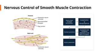 Excitation and contraction of Smooth Muscles.pptx