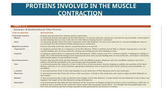 PHYSIOLOGY PRESENTATION-PHYSIOLOGY OF MUSCLE CONTRACTION | PPTX