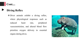 Air breathing and respiratory adaptations in diver animals | PPTX