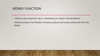 PHYSIOLOGY PRESENTATION NEPHRITIC SYNDROME - RENAL.pptx