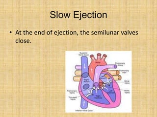 Physiology presntation Cardaic cycle | PPT | Free Download