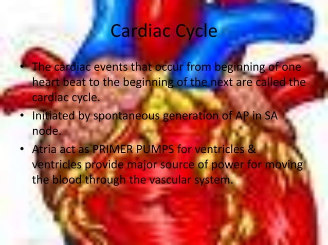 Physiology presntation Cardaic cycle | PPT