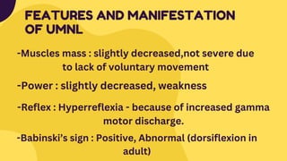Presentation on muscle spindle and motor neuron lesion.pptx