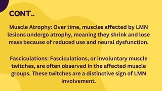 Presentation on muscle spindle and motor neuron lesion.pptx