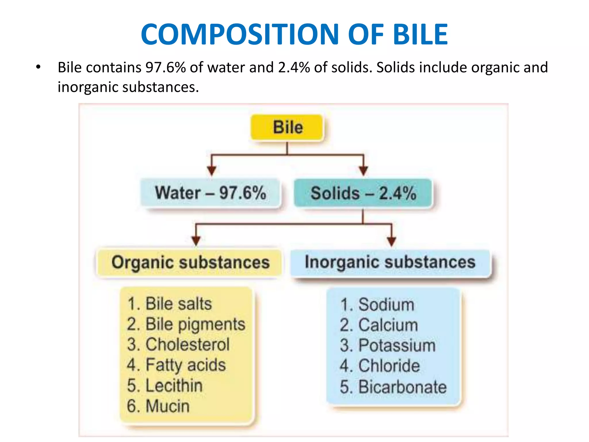 Physiology properties of bile, composition of bile, functions of bile ...