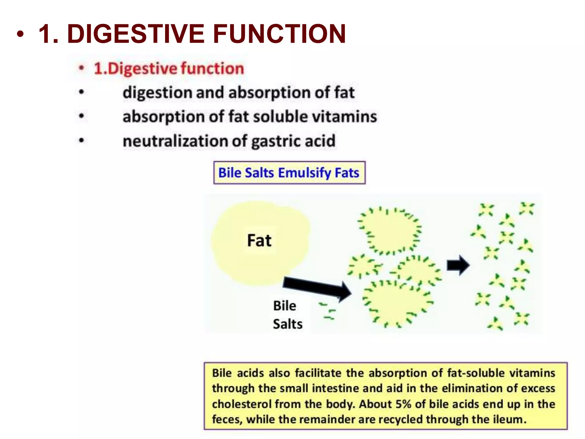 Physiology properties of bile, composition of bile, functions of bile ...