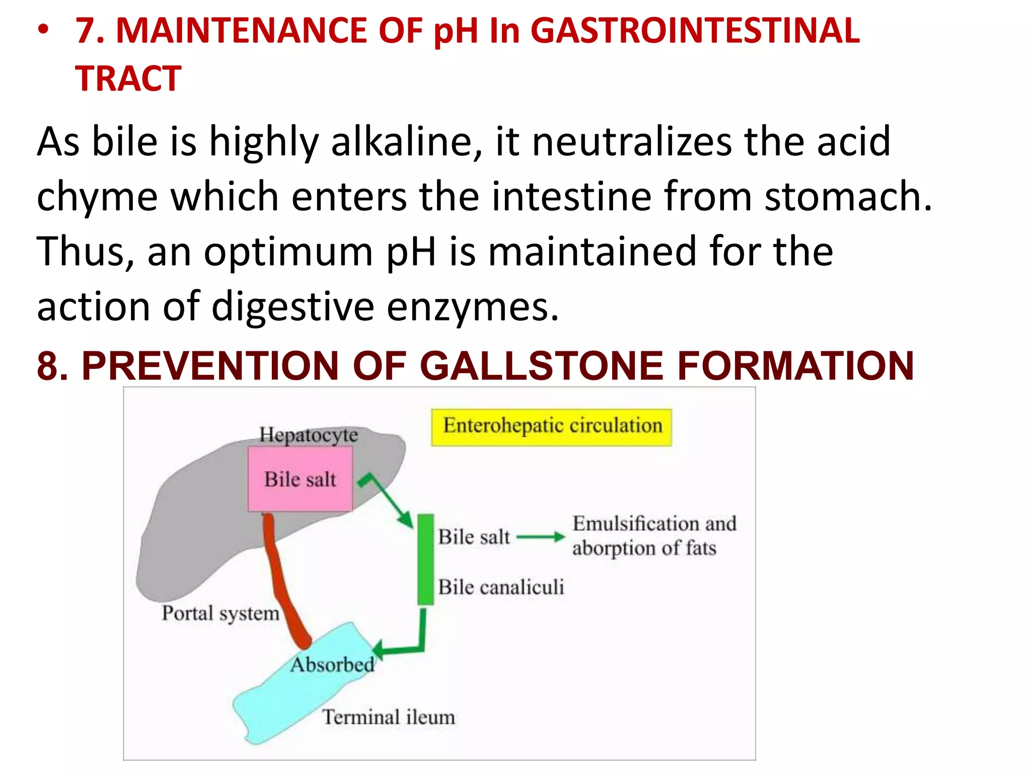 Physiology properties of bile, composition of bile, functions of bile ...