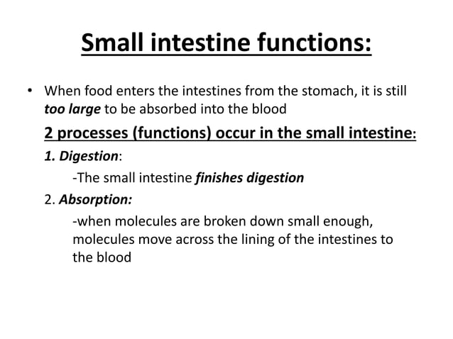 Physiology properties of bile, composition of bile, functions of bile ...