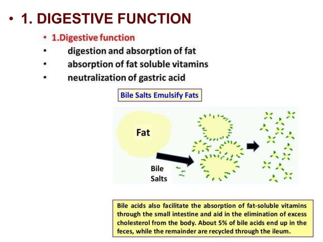 Physiology properties of bile, composition of bile, functions of bile ...
