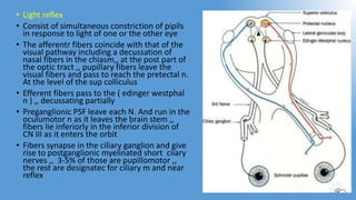 Physiology pupil and eom dr.mohammed | PPTX