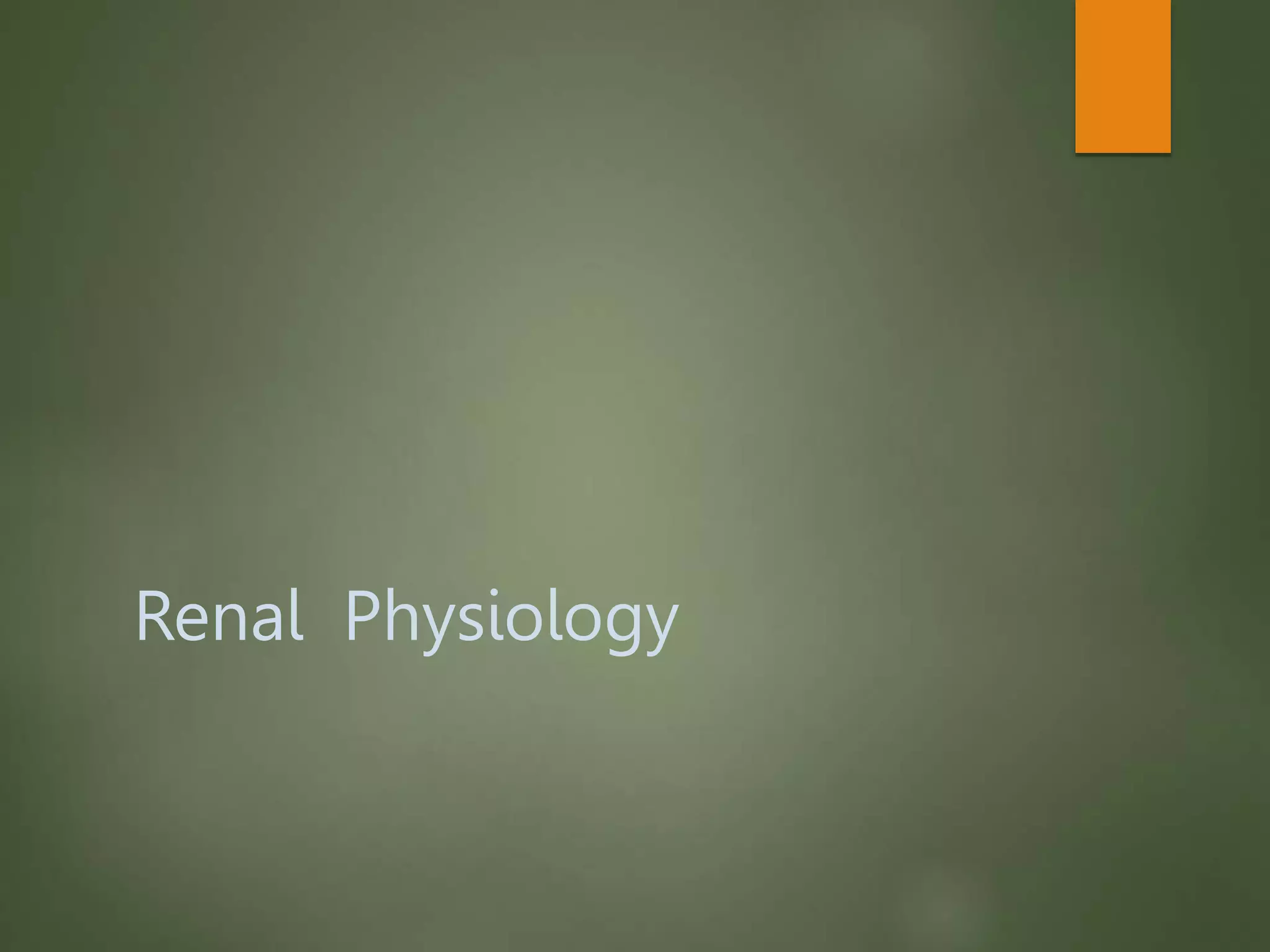 physiology renal system.ppt | Chemistry | Science