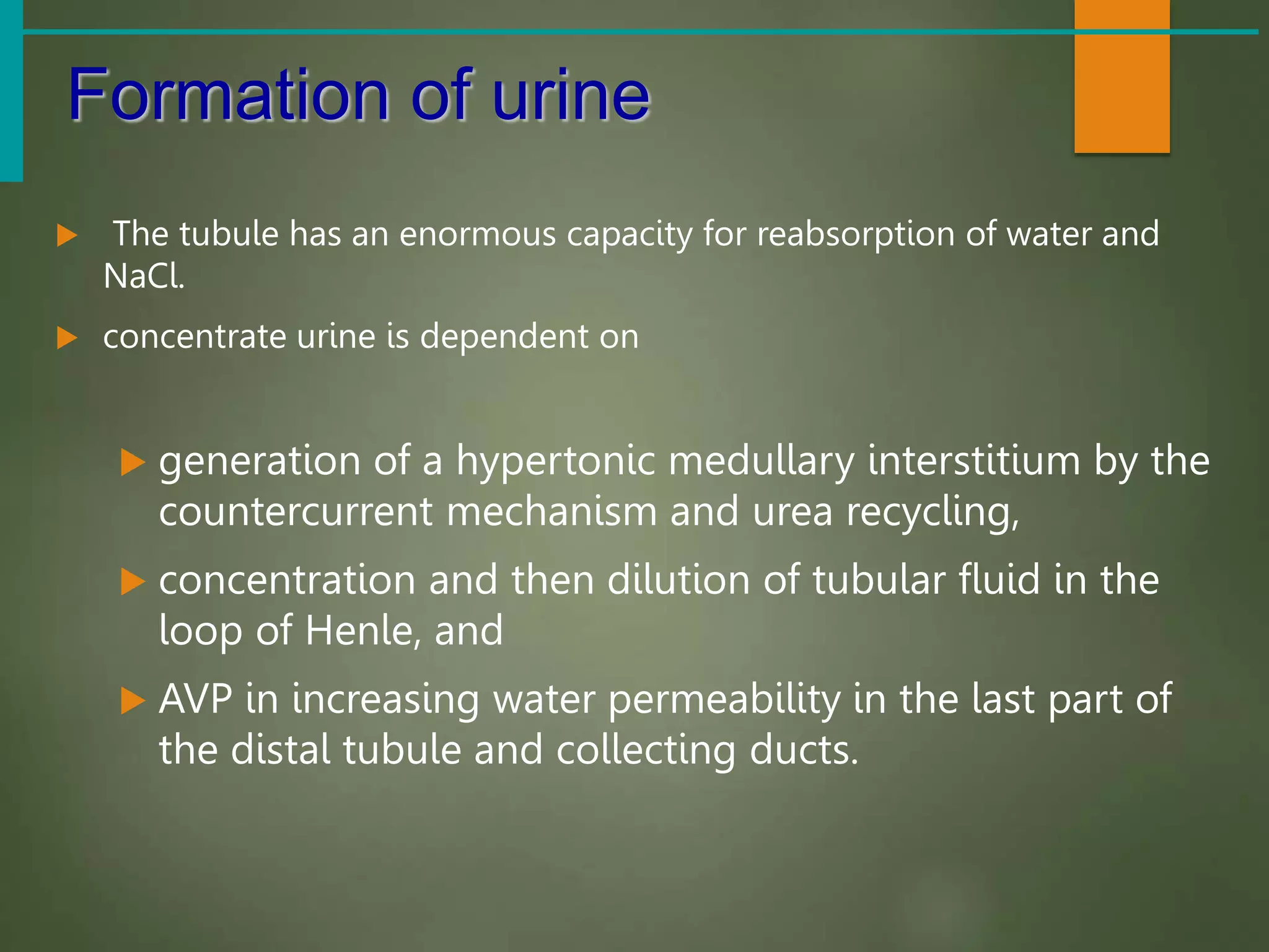 physiology renal system.ppt | Chemistry | Science