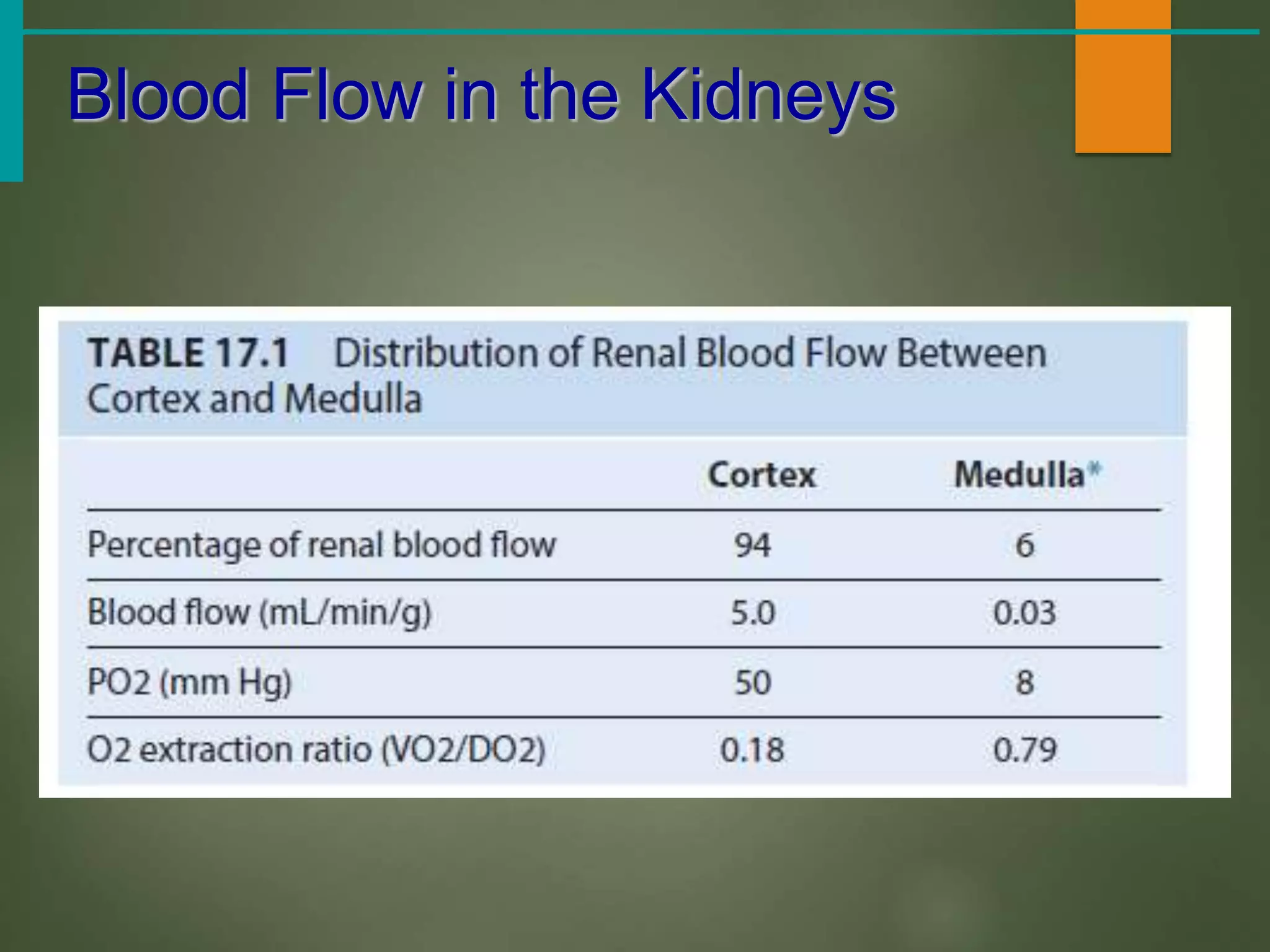 physiology renal system.ppt | Chemistry | Science
