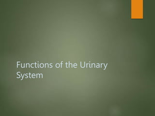 physiology renal system.ppt | Chemistry | Science