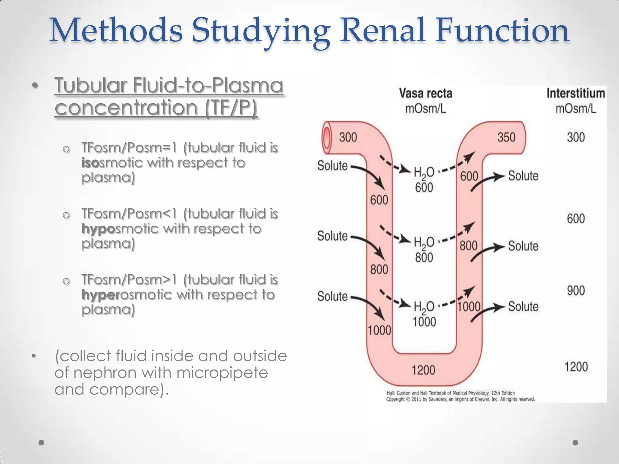 Kidney Regulation and Methods | PPTX