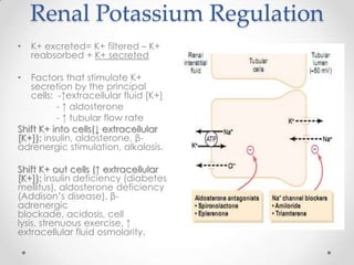 Kidney Regulation and Methods | PPTX
