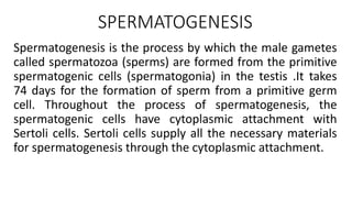 Physiology reproduction.pptx