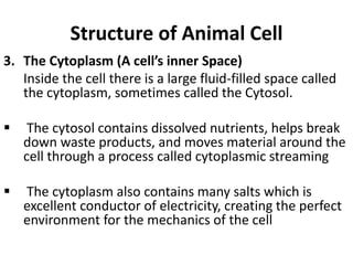 physiology save ppt.pptx