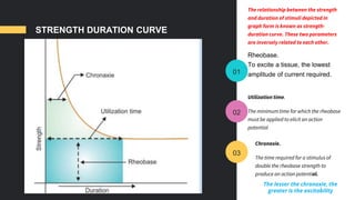 Properties of nerve fibres | PPT