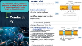 Properties of nerve fibres | PPT