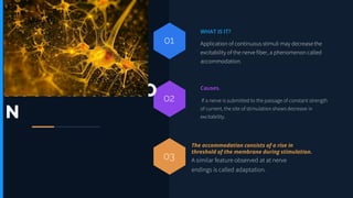 Properties of nerve fibres | PPTX