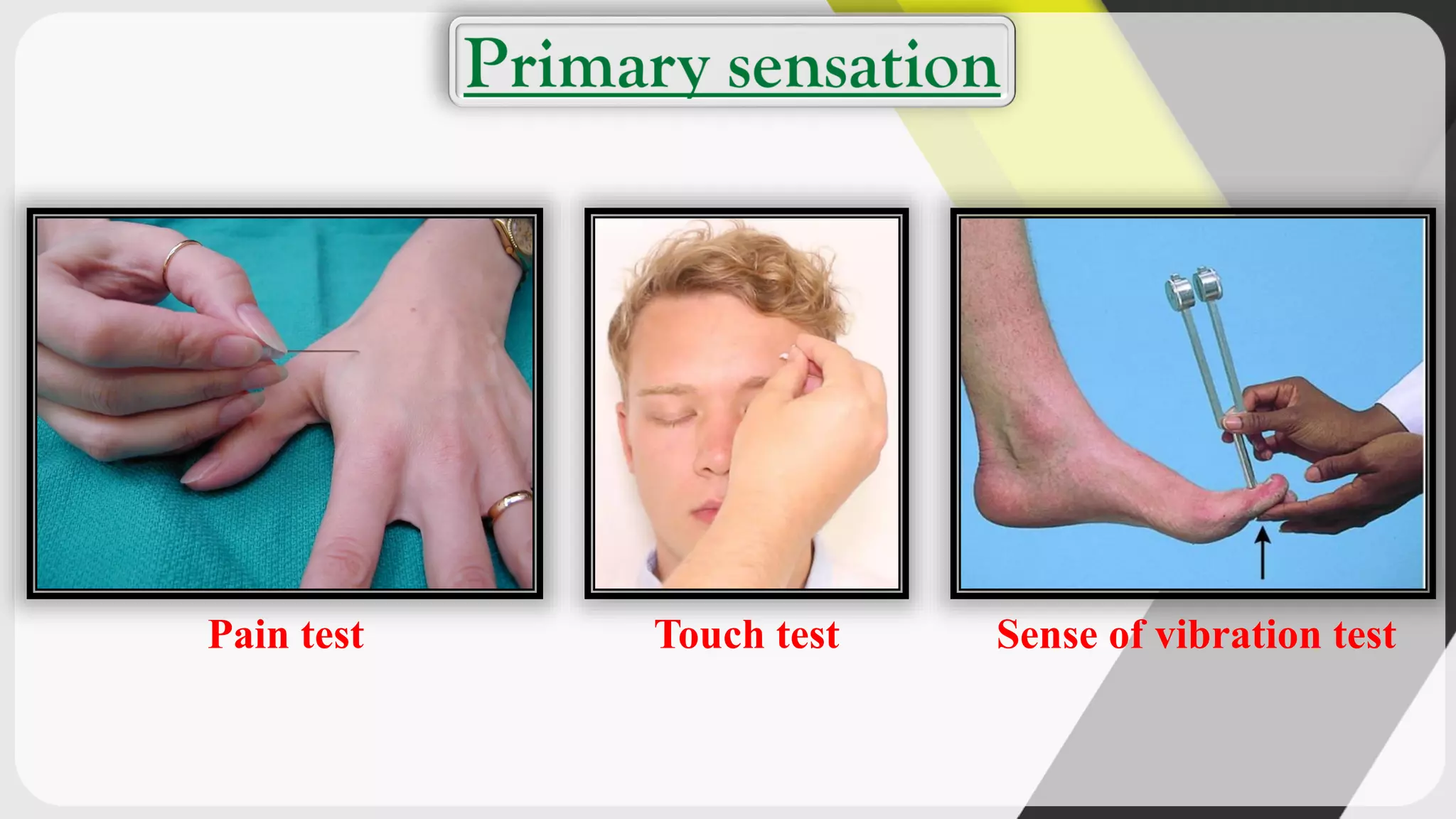 Physiology (sensory examination tests) | PDF