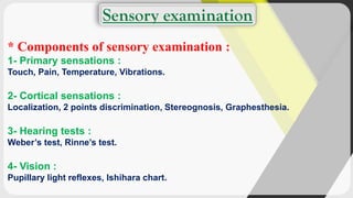 Cortical Sensory Exam Parietal Lobe: What Is It, Location, Function,