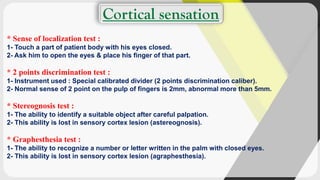 Physiology (sensory examination tests) | PDF