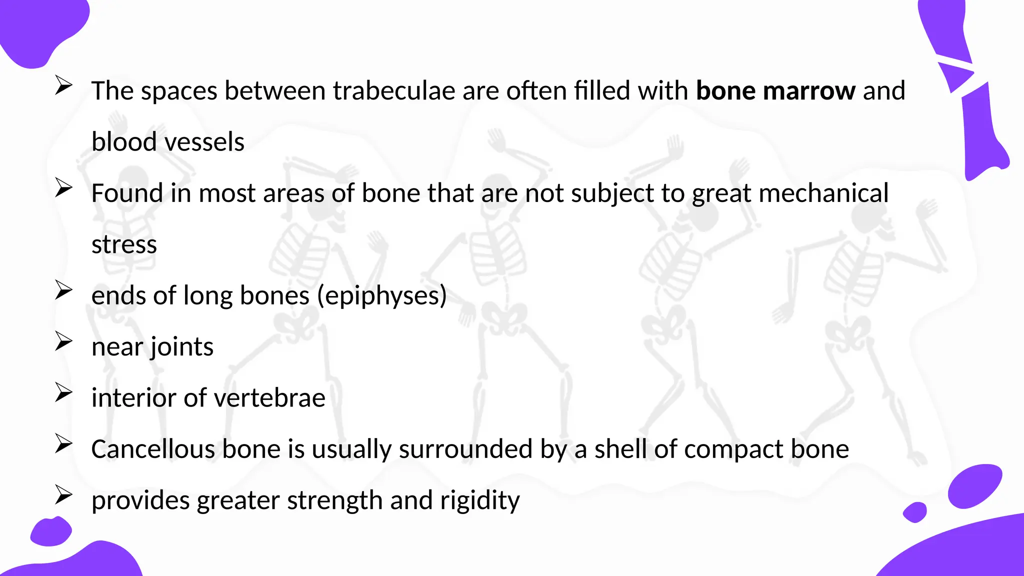 physiology skeletal system introduction fuction | PPT