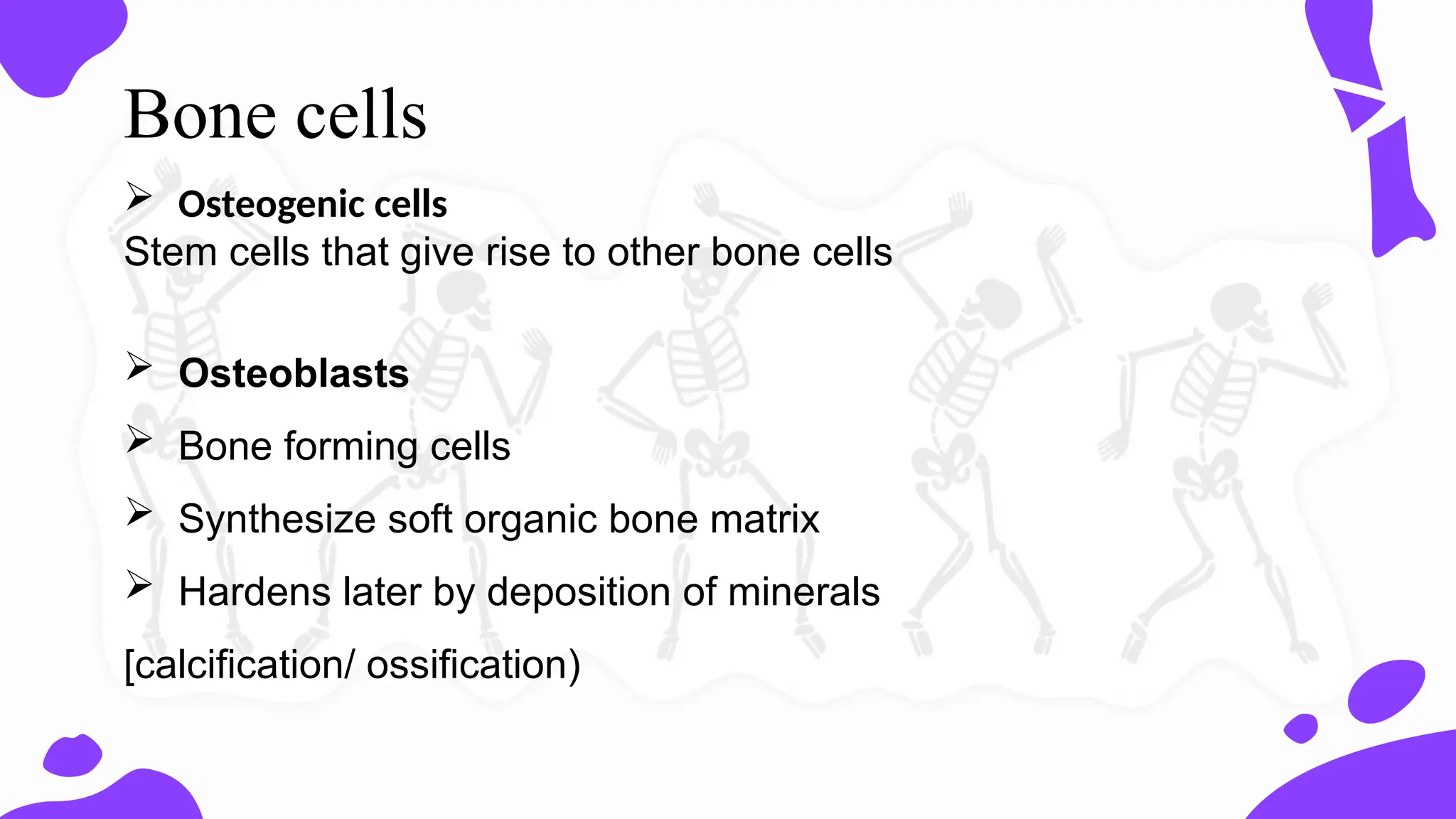 physiology skeletal system introduction fuction | PPT