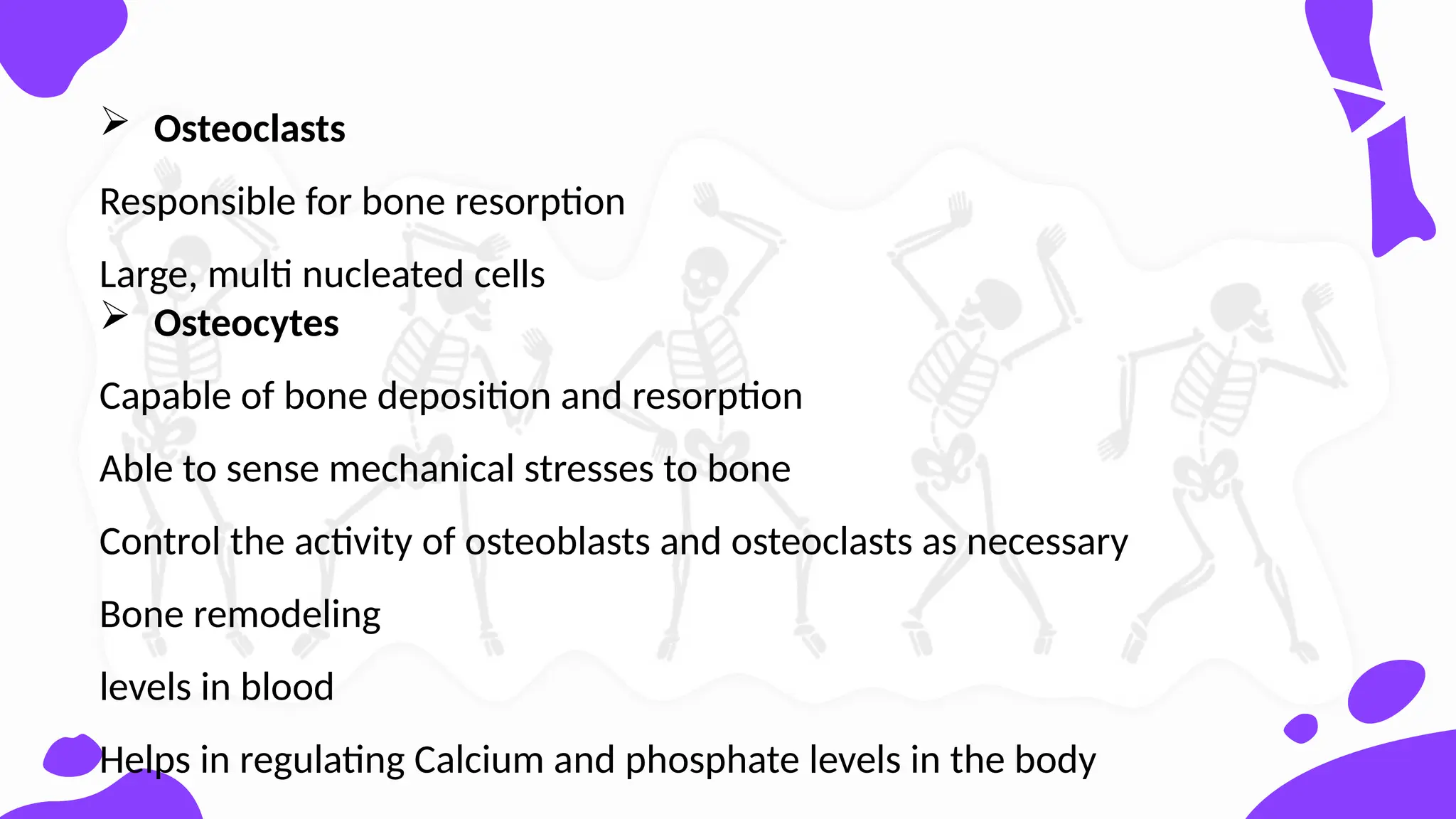 physiology skeletal system introduction fuction | PPT