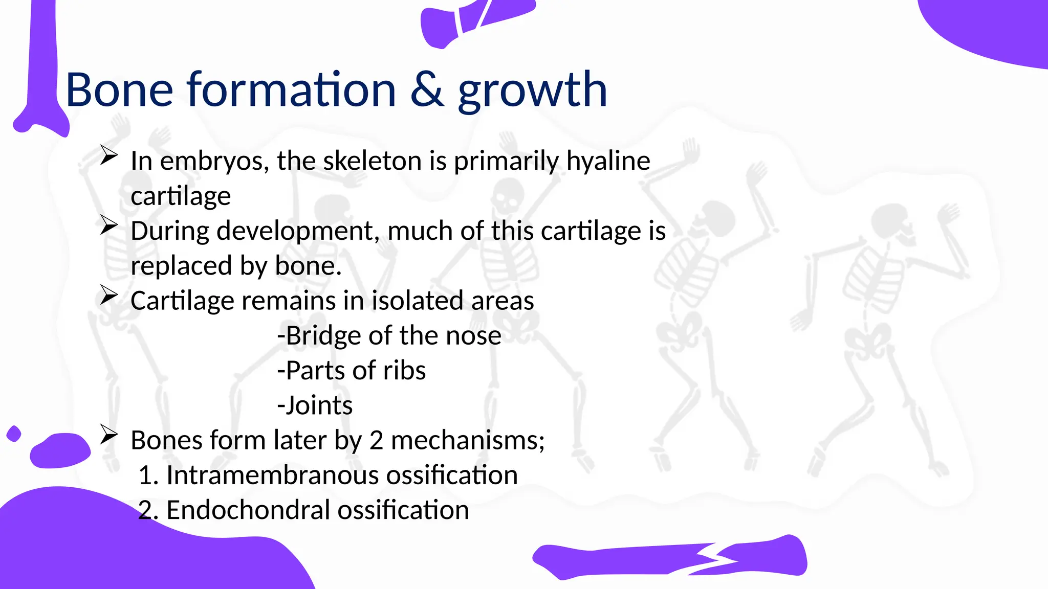 physiology skeletal system introduction fuction | PPT