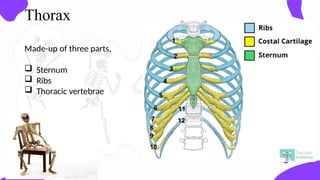 physiology skeletal system introduction fuction | PPTX