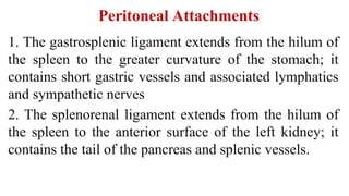Physiology of Spleen for Medical Students .pptx