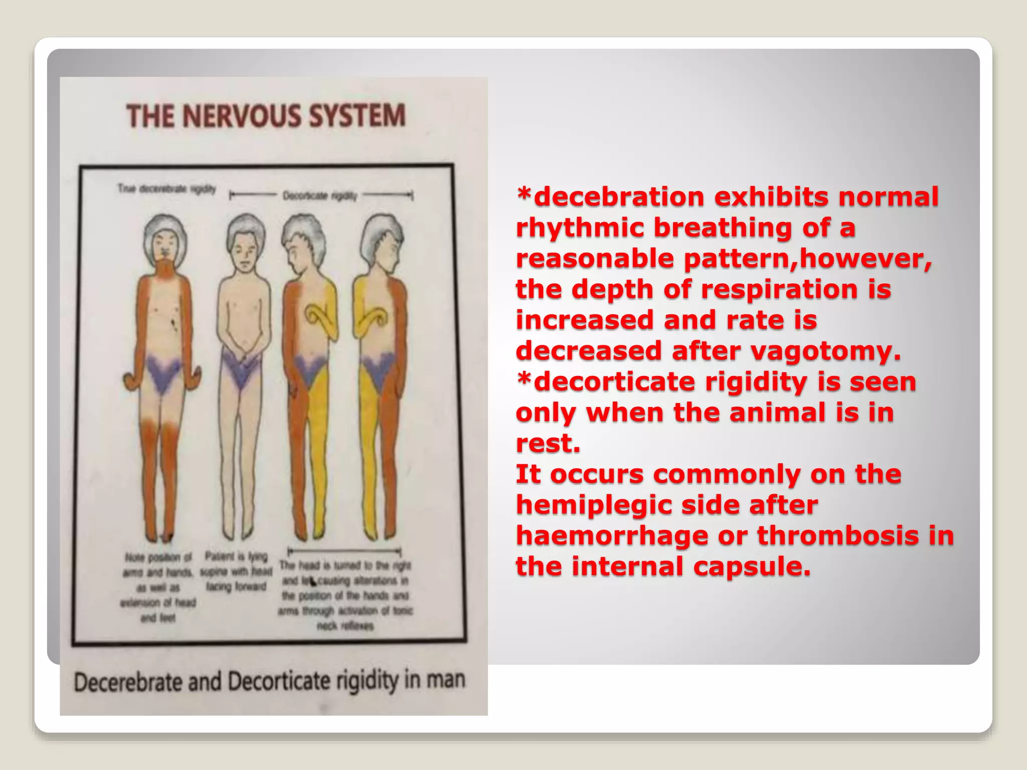 Physiology spotters | PPTX