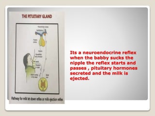 Physiology spotters | PPTX