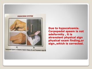 Physiology spotters | PPTX