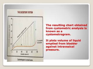 Physiology spotters | PPTX