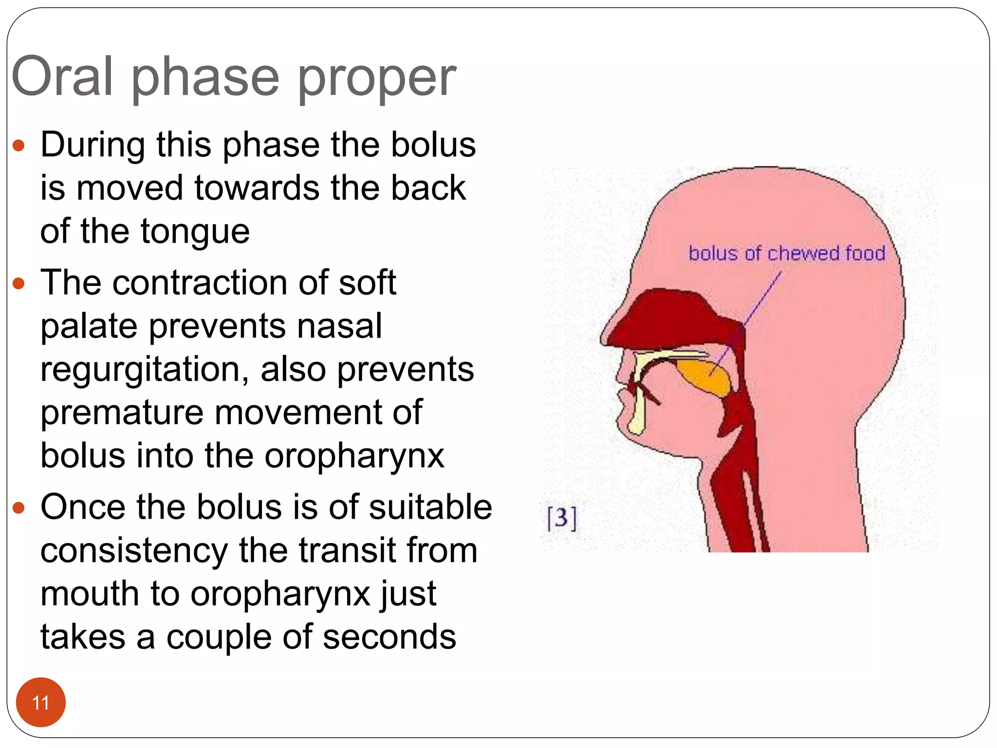 Physiology swallowing & functional investigations of upper git | PPTX