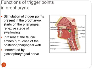 Physiology swallowing & functional investigations of upper git | PPTX