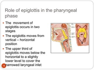 Physiology swallowing & functional investigations of upper git | PPTX