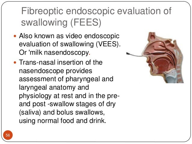 Physiology swallowing & functional investigations of upper git