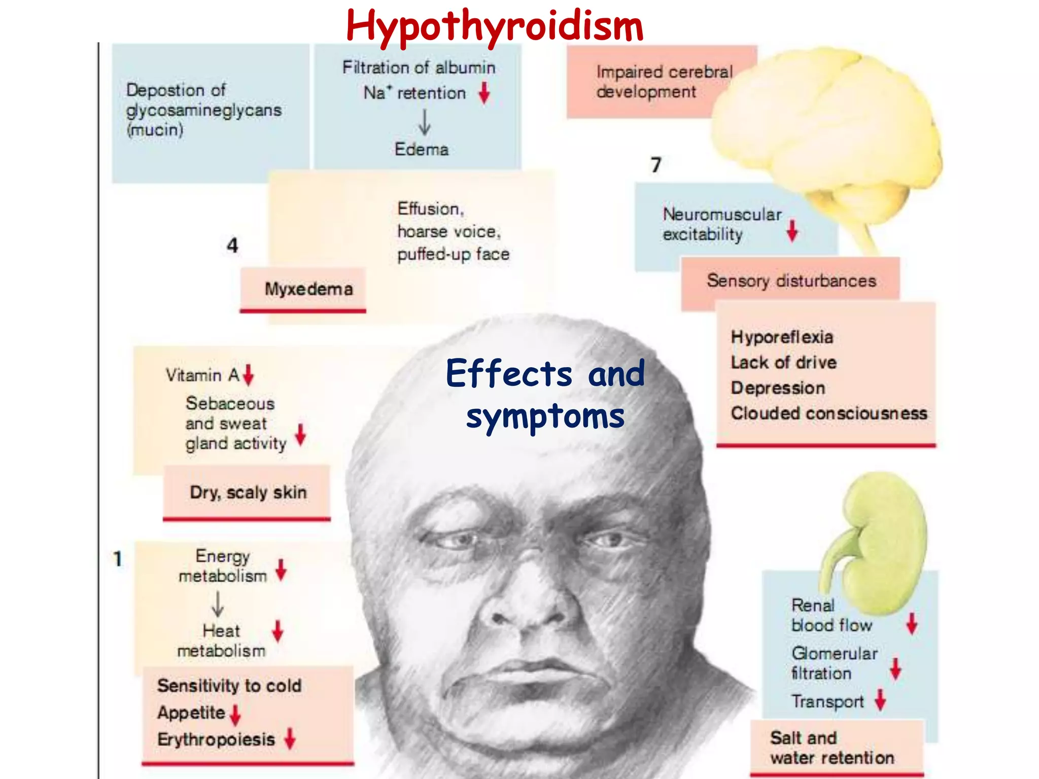 Physiology thyroid hormone | PPTX