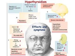 Physiology thyroid hormone | PPTX