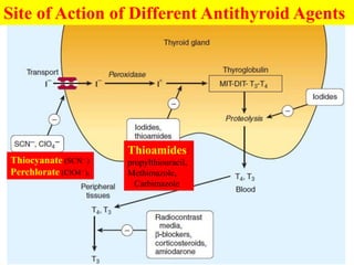 Physiology thyroid hormone | PPTX