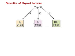 Physiology thyroid hormone | PPTX