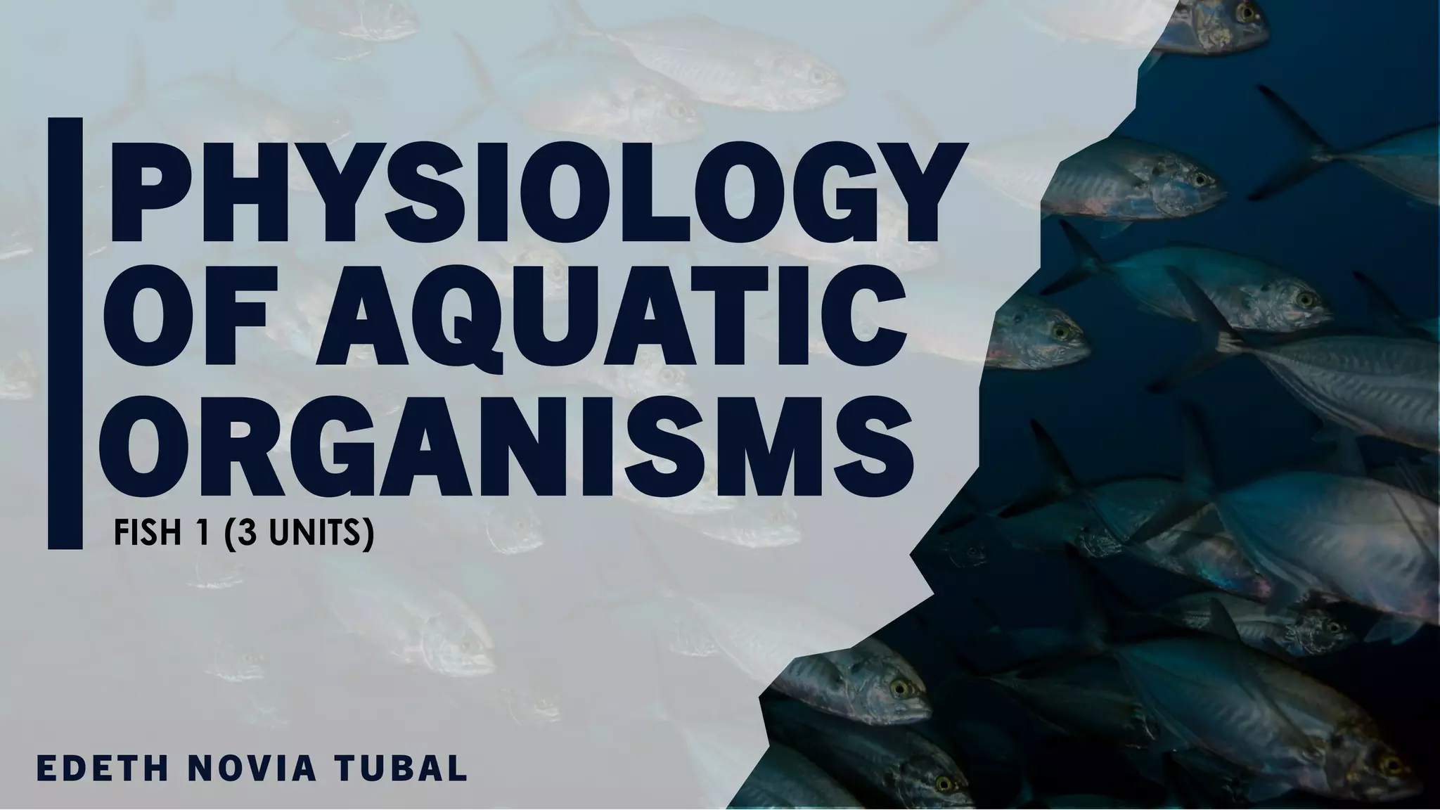 FISH NERVOUS SYTEM.pdf