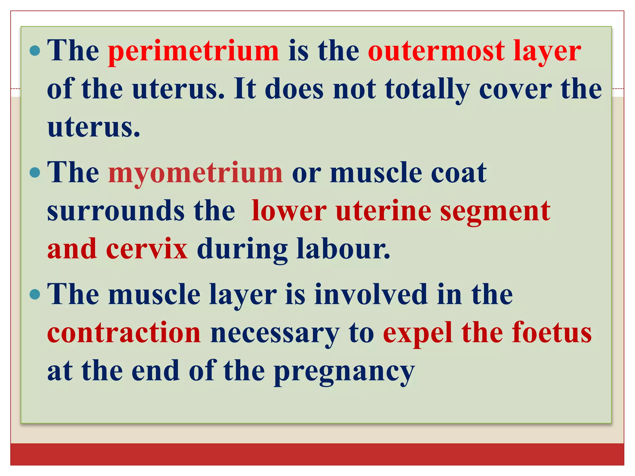Physiolosical changes during pregnancy | PPTX