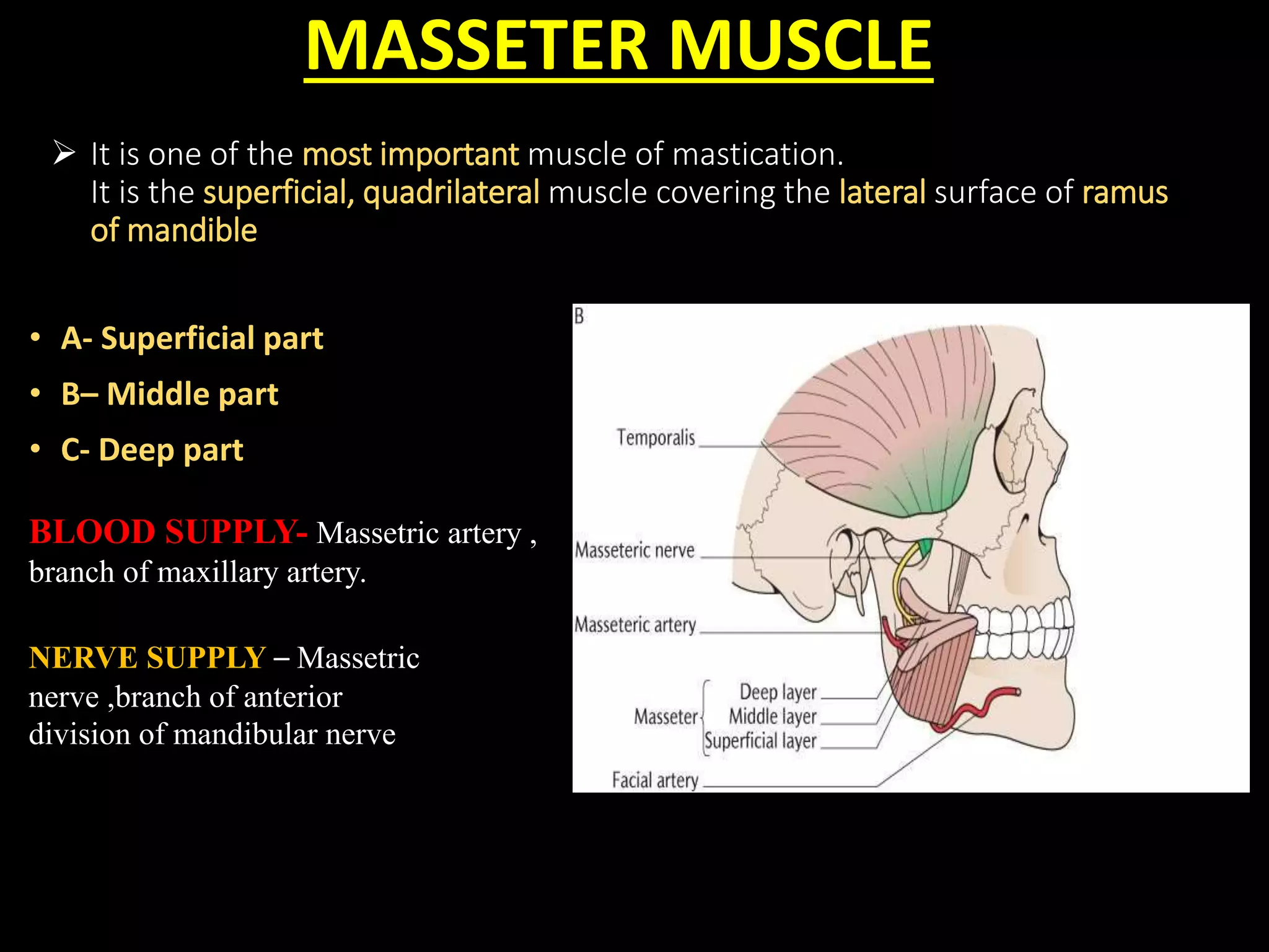 Mastication And Deglutition | PPTX