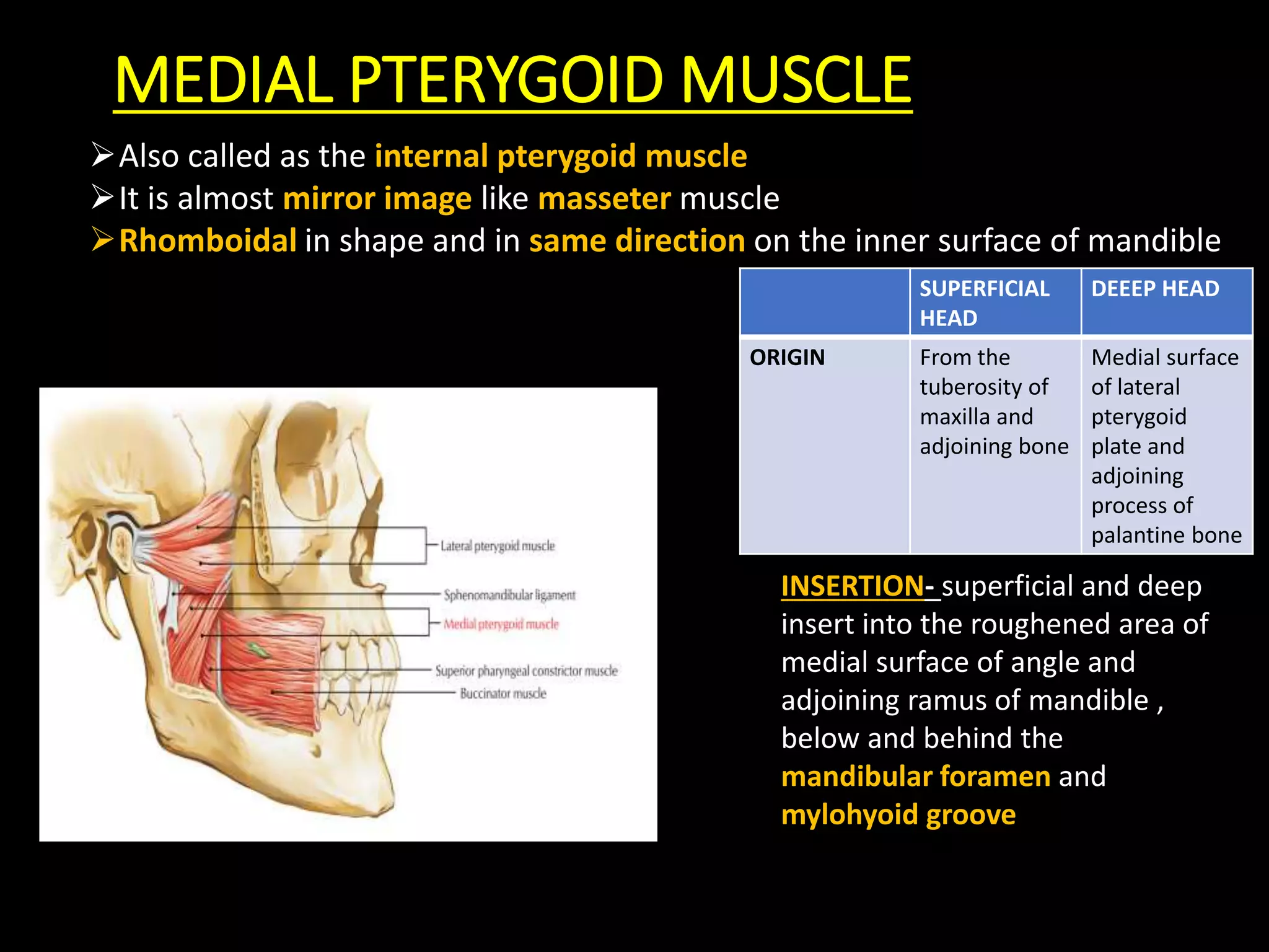 Mastication And Deglutition | PPTX